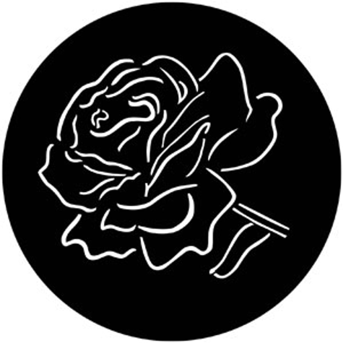 Apollo (1021) Rose Steel Gobo | Visions In Color