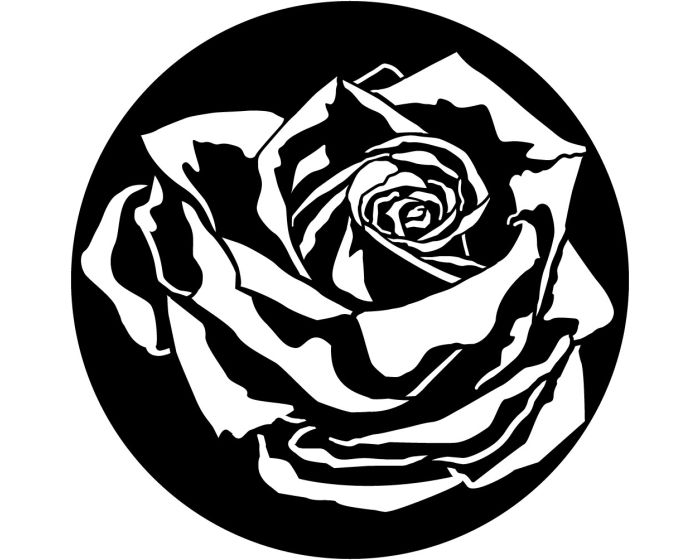 Apollo (1063) Rose with Shadow Steel Gobo | Visions In Color